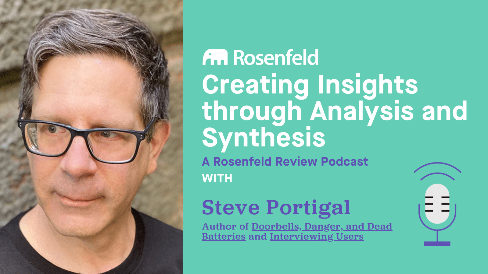 Creating Insights through Analysis and Synthesis with Steve Portigal ...